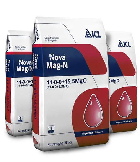 Şimdi Al, Hasatta Öde! | Tarfin