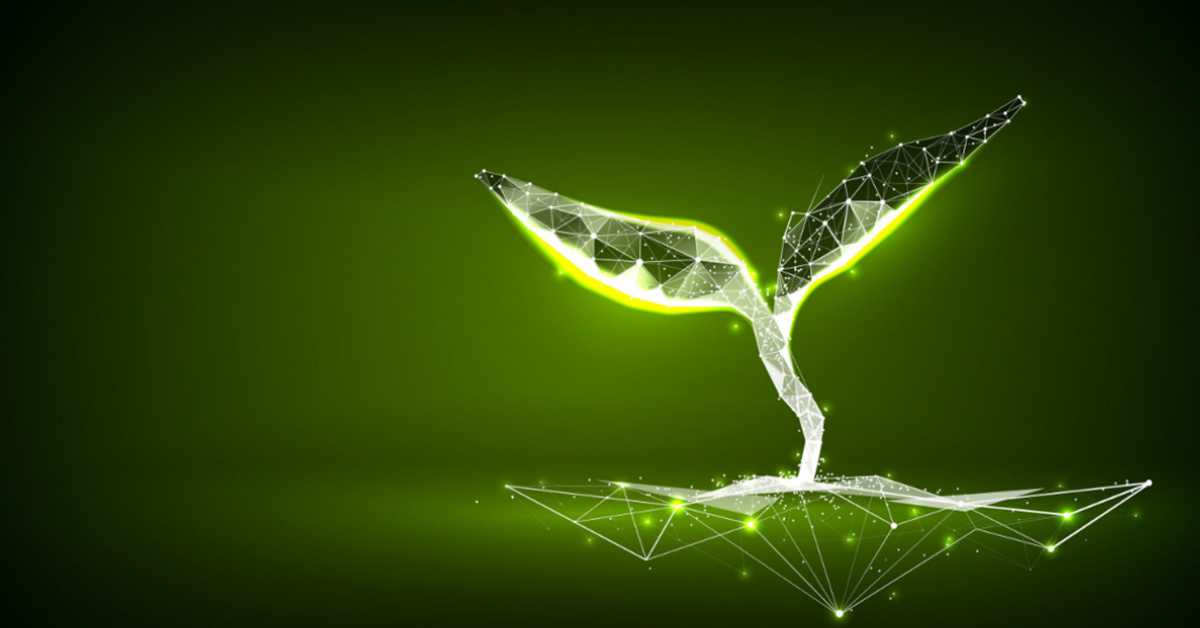 Tarfin Completes Series A Investment Round | Tarfin